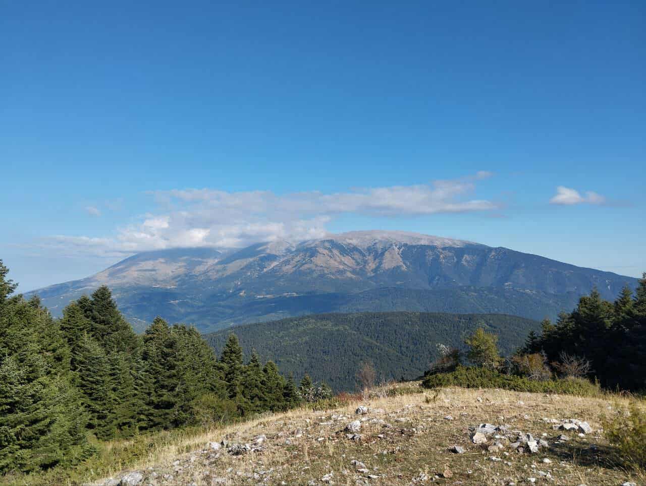 ΘΕΡΙΝΗ ΚΑΤΑΣΚΗΝΩΣΙΣ 2025 - ΑΡΜΑ